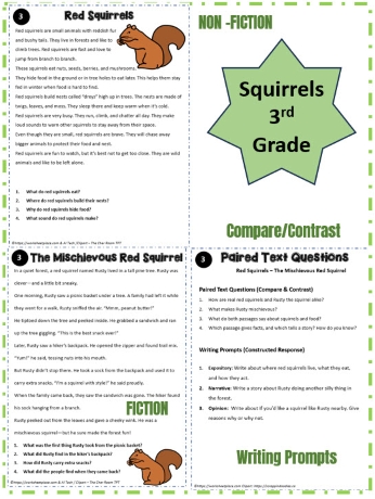 Red Squirrels/Mischievous Squirrel Worksheets