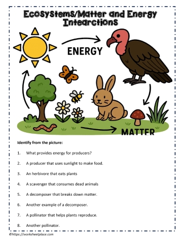 Ecosystem Worksheets For 5th Graders 20 5th Grade Ecosystem Worksheets