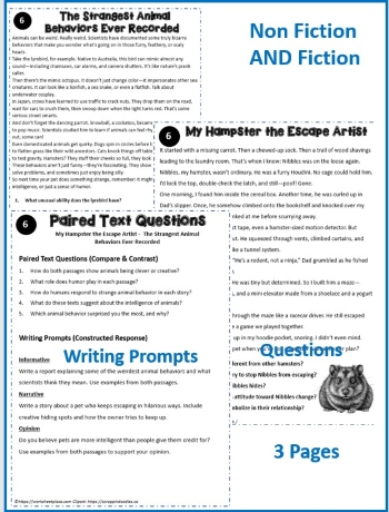 Animal Behaviors/My Hamster Worksheets