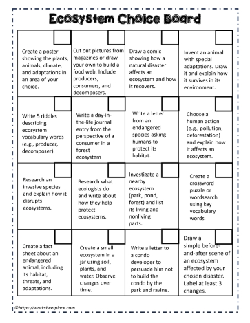 Ecosystem Choice Board Worksheets