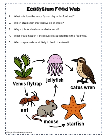 Ecosystem Food Web 2 Worksheets