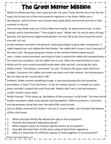 Ecosystem Matter Reading Passage Worksheets