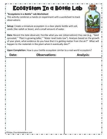 Ecosystem Lab in a Bottle Worksheets