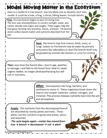 Ecosystem Moving Matter Worksheets