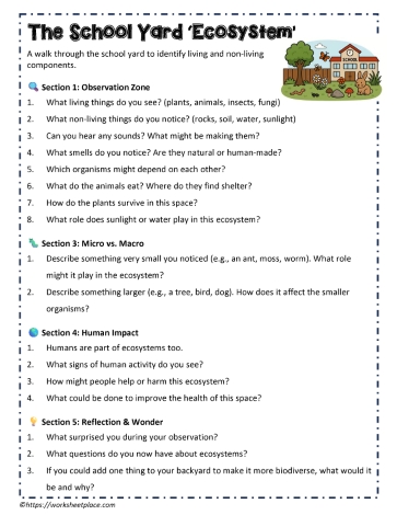 Ecosystem Schoolyard Activity Worksheets