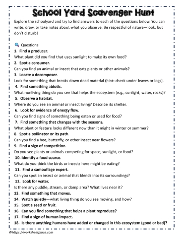Ecosystem Scavenger Hunt Worksheets