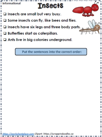 Sequencing Insects Worksheets