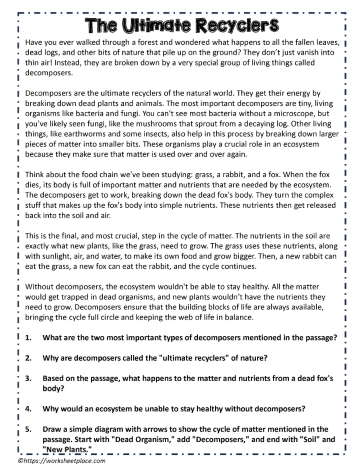 Ecosystem Recyclers Reading Passage Worksheets