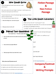 2nd Grade Paired Passages Worksheets