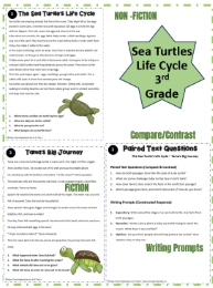 3rd Grade Paired Passages Worksheets