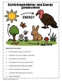 Ecosystems, Energy and Interactions Worksheets