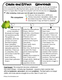 Ecosystems, Energy and Interactions Worksheets