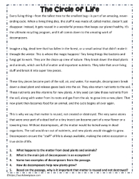 Ecosystems, Energy and Interactions Worksheets