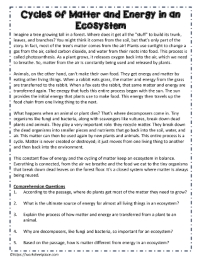 Ecosystems, Energy and Interactions Worksheets