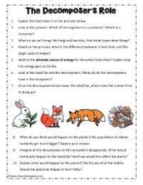 Ecosystems, Energy and Interactions Worksheets