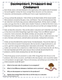 Ecosystems, Energy and Interactions Worksheets
