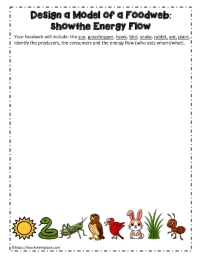 Ecosystems, Energy and Interactions Worksheets