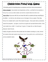 Ecosystems, Energy and Interactions Worksheets