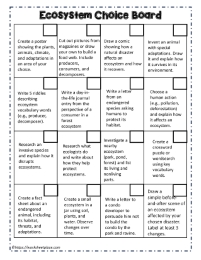 Ecosystems, Energy and Interactions Worksheets