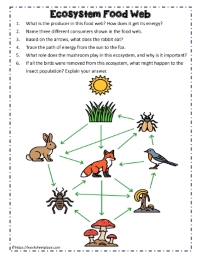 Ecosystems, Energy and Interactions Worksheets