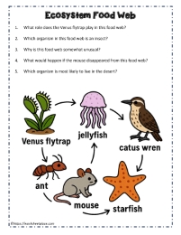 Ecosystems, Energy and Interactions Worksheets