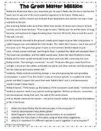 Ecosystems, Energy and Interactions Worksheets