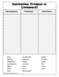 Ecosystems, Energy and Interactions Worksheets