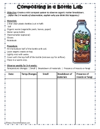 Ecosystems, Energy and Interactions Worksheets