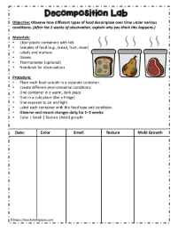 Ecosystems, Energy and Interactions Worksheets