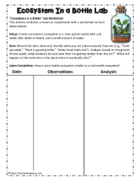 Ecosystems, Energy and Interactions Worksheets