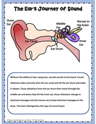 Light and Sound Worksheets