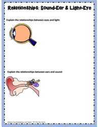 Light and Sound Worksheets