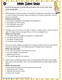 3rd Grade Main Idea Quizzes Worksheets