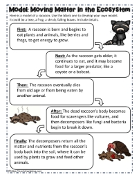 Ecosystems, Energy and Interactions Worksheets