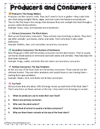 Ecosystems, Energy and Interactions Worksheets