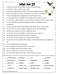 Ecosystems, Energy and Interactions Worksheets