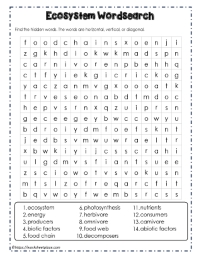 Ecosystems, Energy and Interactions Worksheets